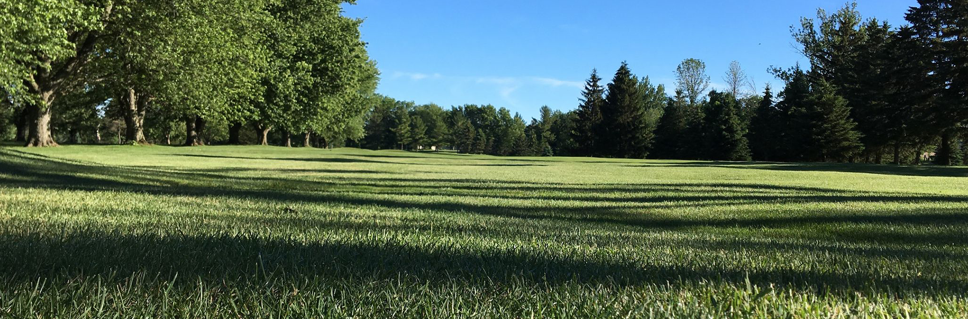 Home - Mitchell Golf & Country Club